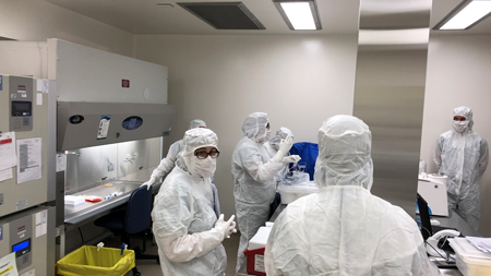 Essentials of Cell and Gene Therapy GMP Manufacturing in Under 60 Minu ...